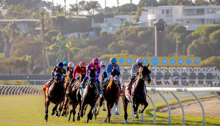 5 Fun Things To Do This Week in San Diego July 14th - 20th - 101 Things To Do In San Diego